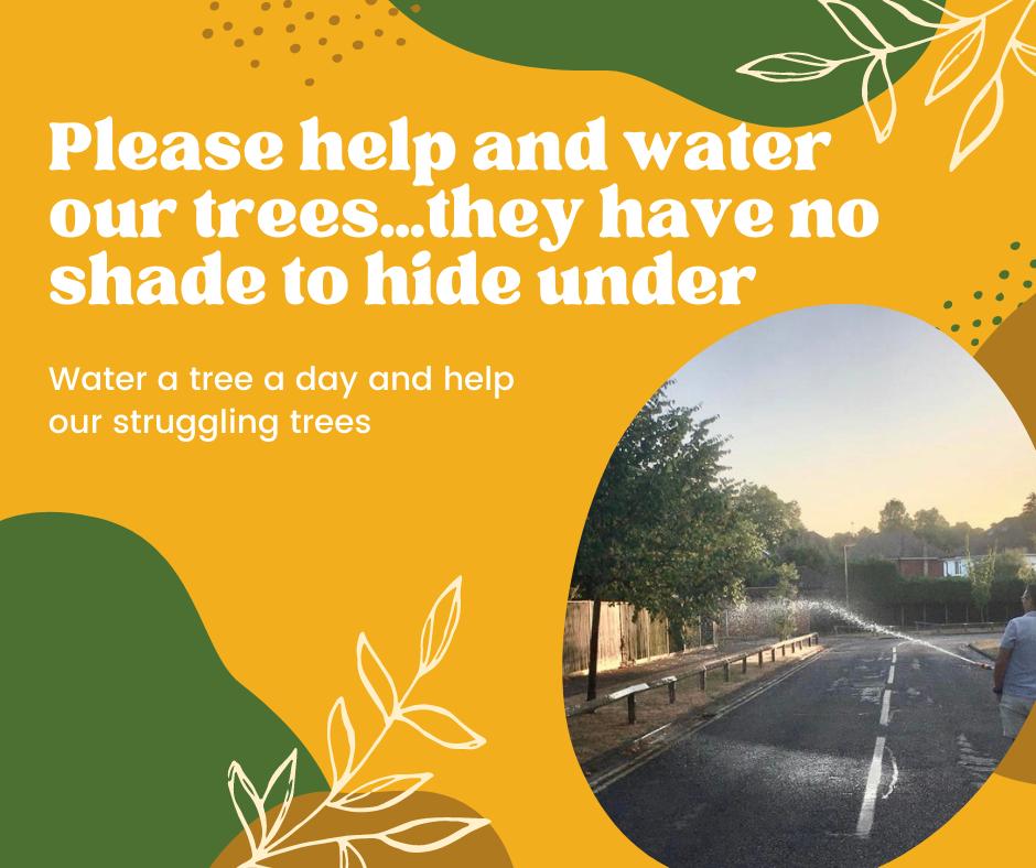 Residents please help water our struggling trees